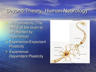 Impression Formation Presentation | PPT