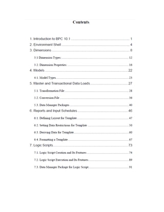 SAP BPC 10.1 Book - High lights | DOCX