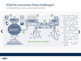 ESGYN Overview | PDF