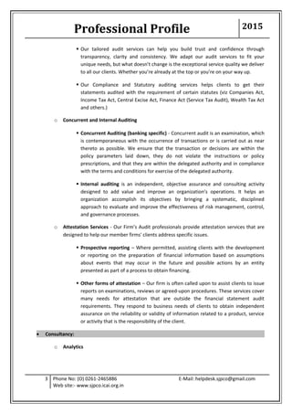 Professional Profile | DOC | Business Accounting & Finance | Business