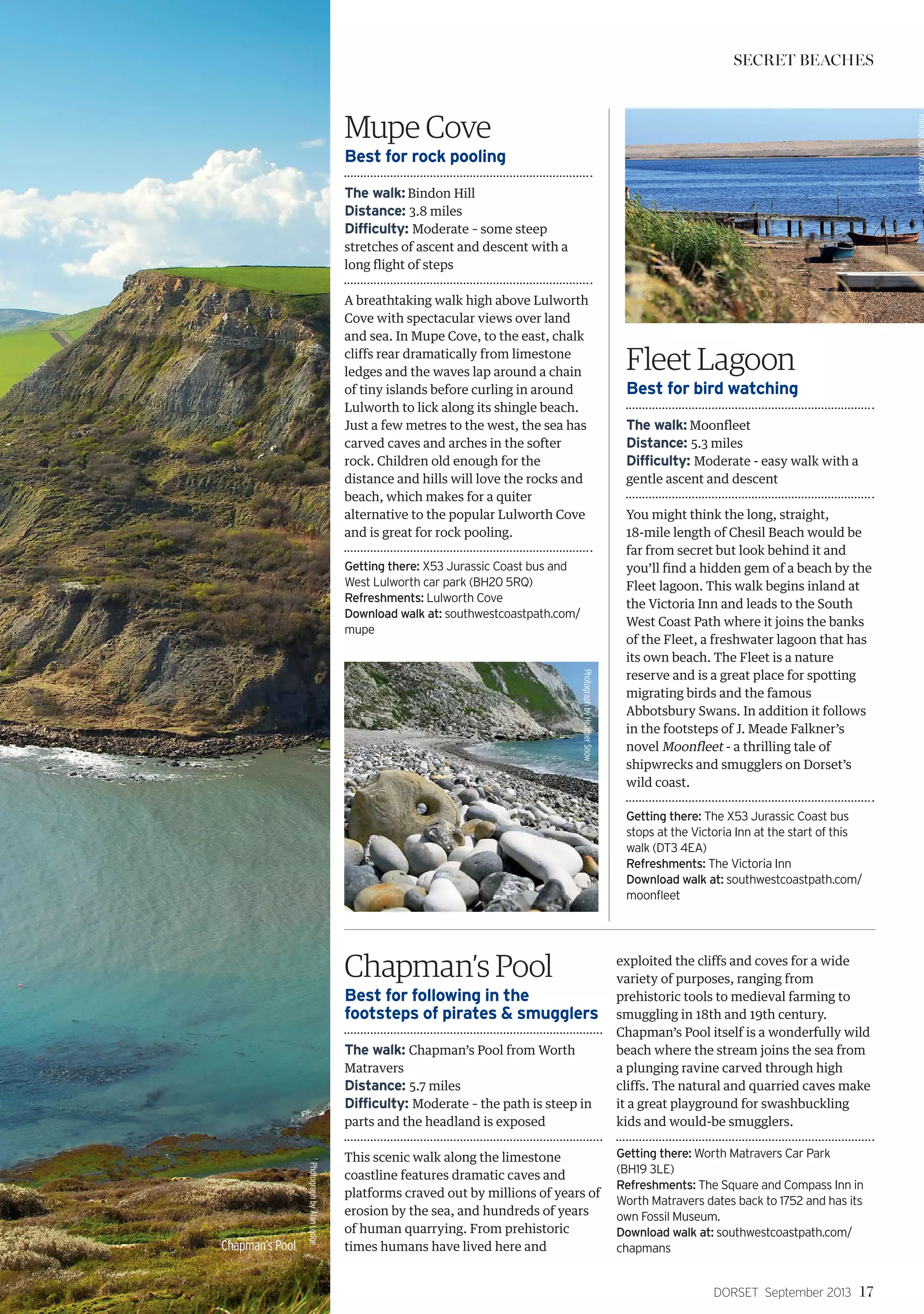 Dorset Magazine October 2013 | PDF