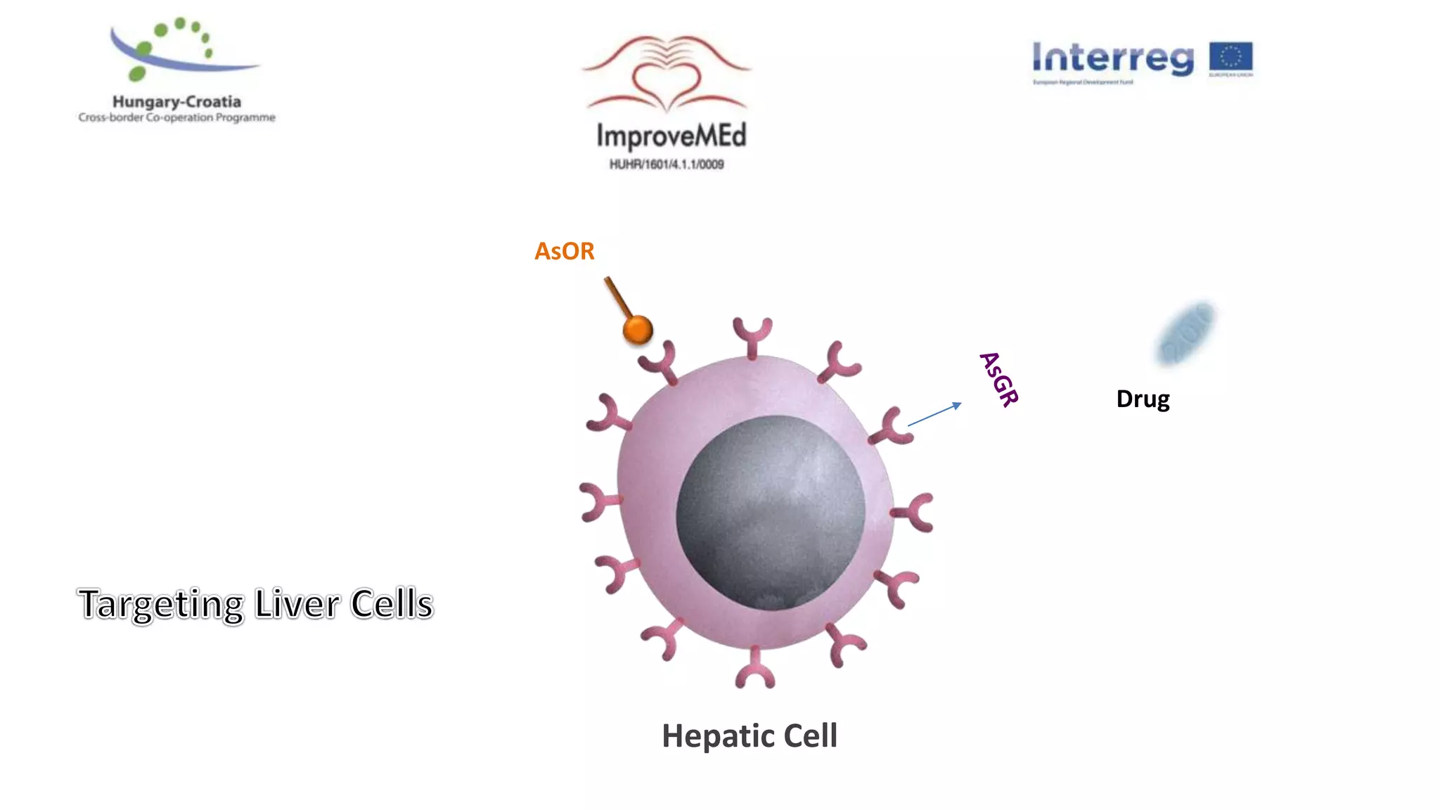 Liver targetted drug delivery | PPTX