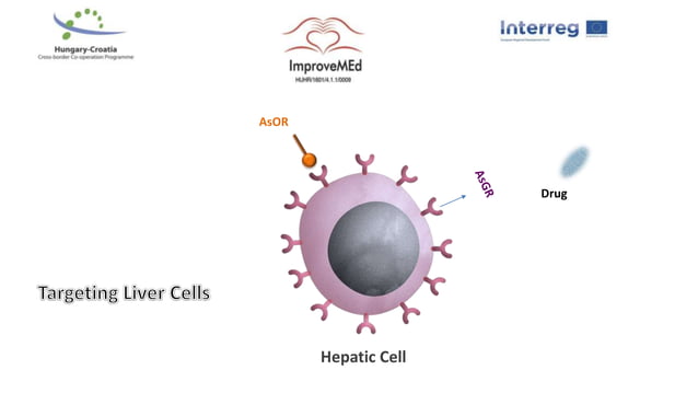 Liver targetted drug delivery | PPTX | Chemistry | Science