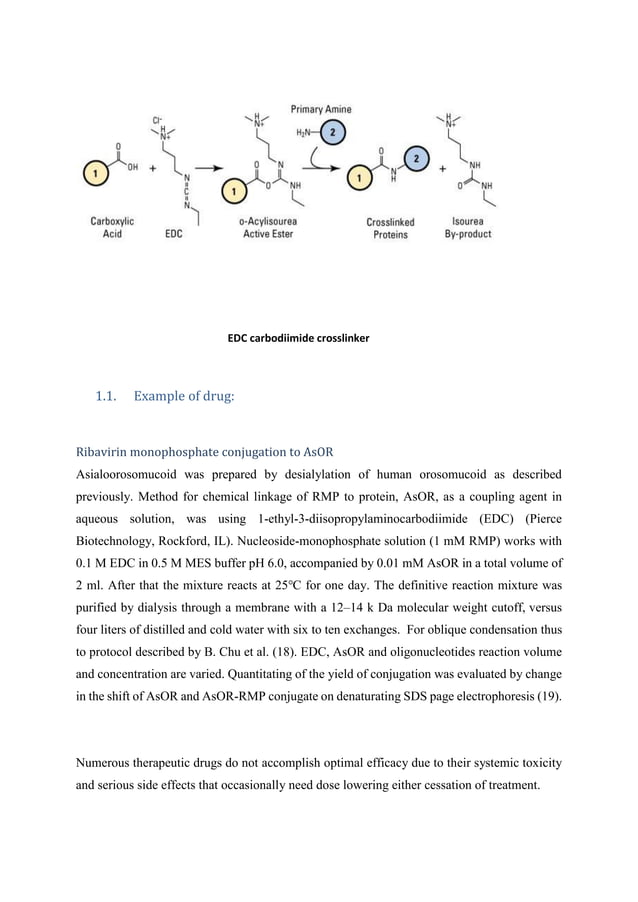 Liver targeted drug delivery | PDF | Chemistry | Science