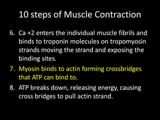 83f2b920-2754-4611-af0d-c8de09fd0307.pptx | Physical Therapy | Wellness