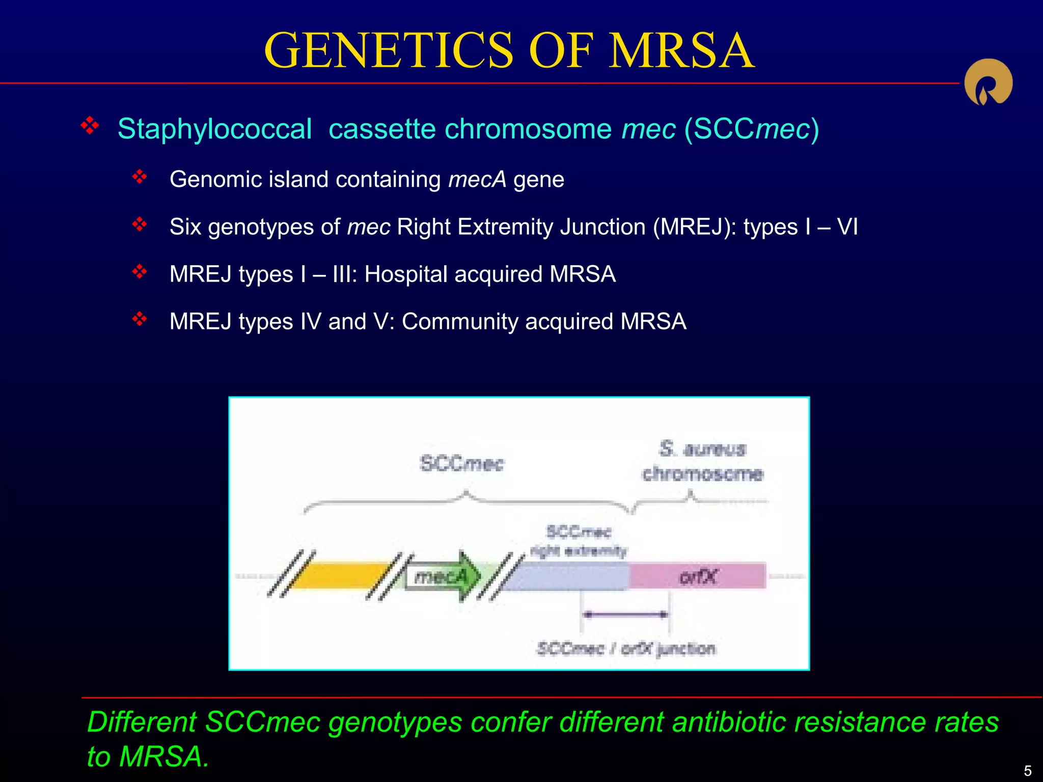 SCOURGE_OF_MRSA_97-2003 | PPT
