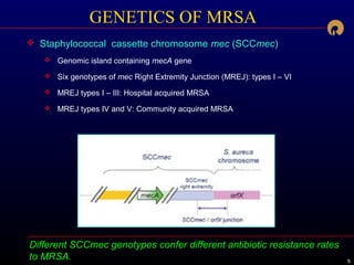 SCOURGE_OF_MRSA_97-2003 | PPT | Skin and Dermatology | Diseases and ...