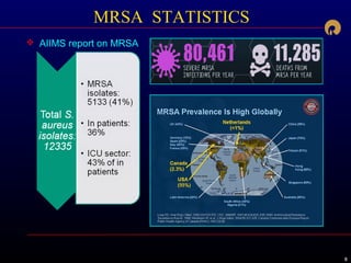 SCOURGE_OF_MRSA_97-2003 | PPT | Skin and Dermatology | Diseases and ...