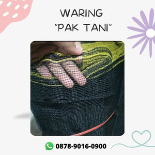 Waring Pak Tani | PDF