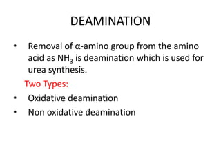 8402594 pm.ppt metabolism of amino acids | PPT