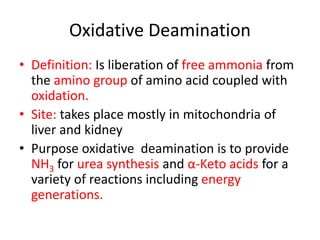 8402594 pm.ppt metabolism of amino acids | PPT