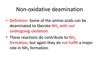 8402594 pm.ppt metabolism of amino acids | PPT