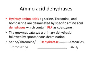 8402594 pm.ppt metabolism of amino acids | PPT