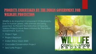 841432153-Wildlife-Conservation-PPT-New.pptx