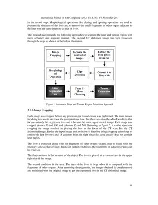 Medical Image Processing Methodology for Liver Tumour Diagnosis | PDF