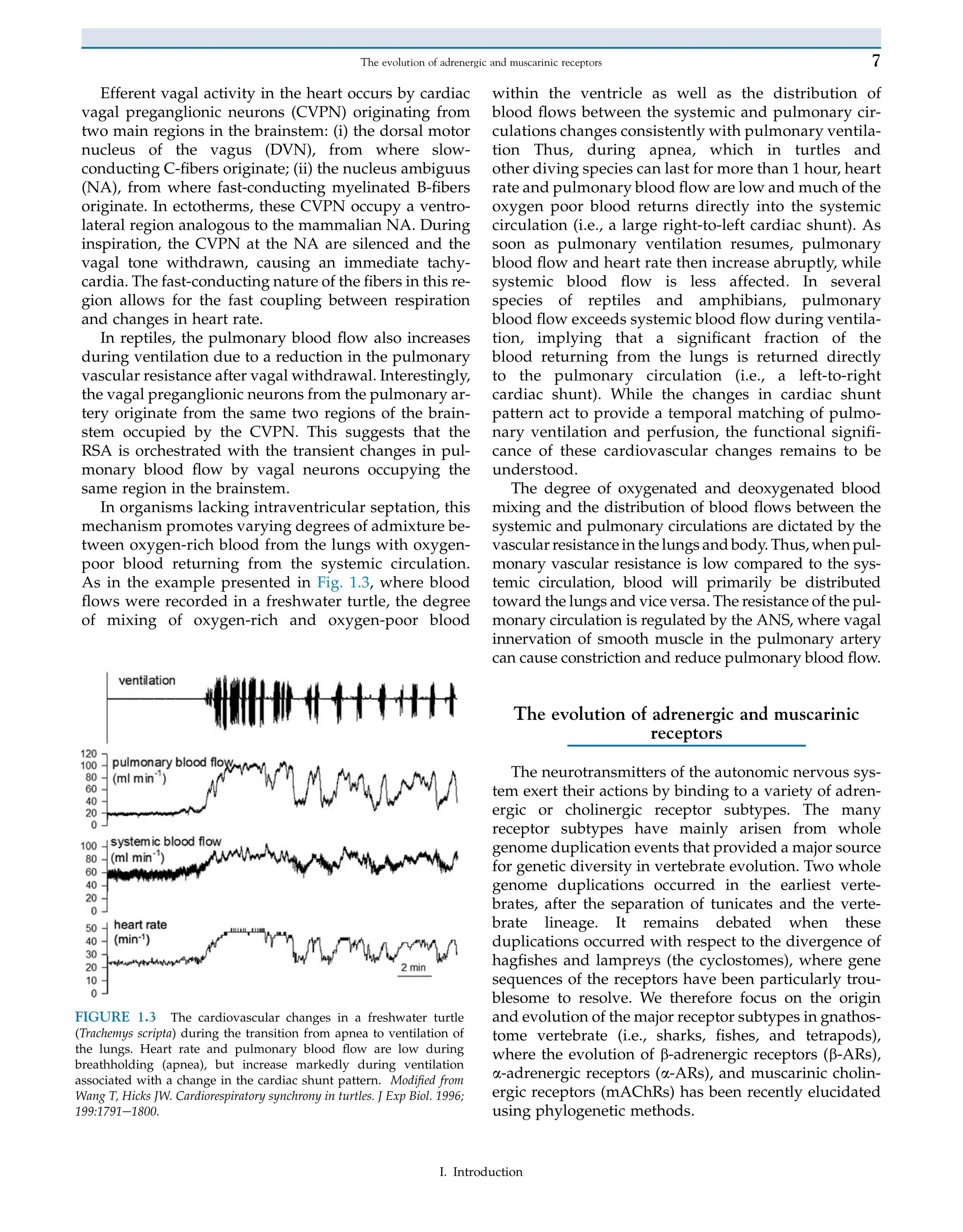 Primer on the Autonomic Nervous System Italo Biaggioni (Editor) | PDF