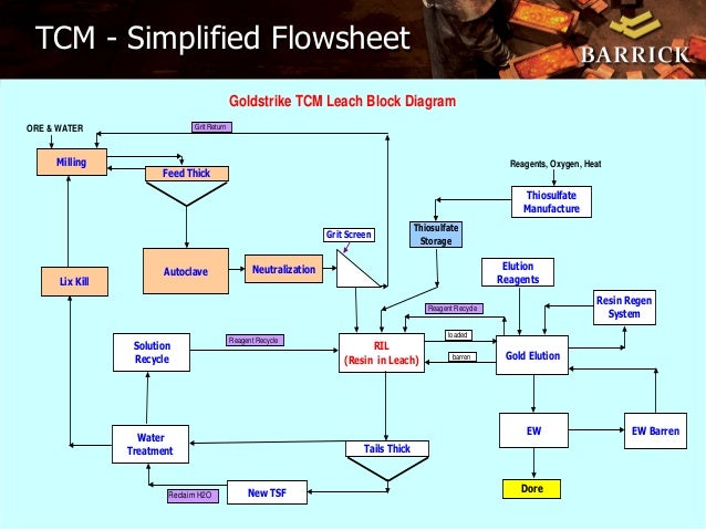 Barrick-Goldstrike-TCM-Flowchart