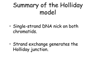 Models of recombination, Models of recombination | PPT