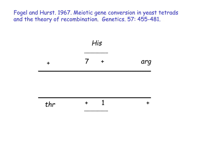 Models of recombination, Models of recombination | PPT