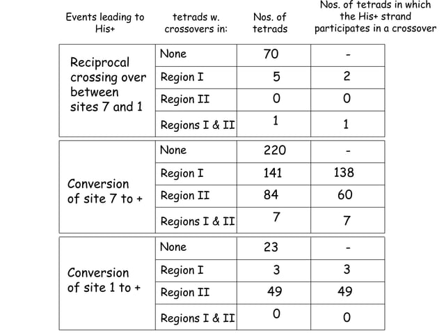 Models Of Recombination Models Of Recombination Ppt