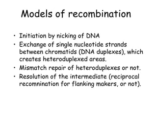 Models of recombination, Models of recombination | PPT