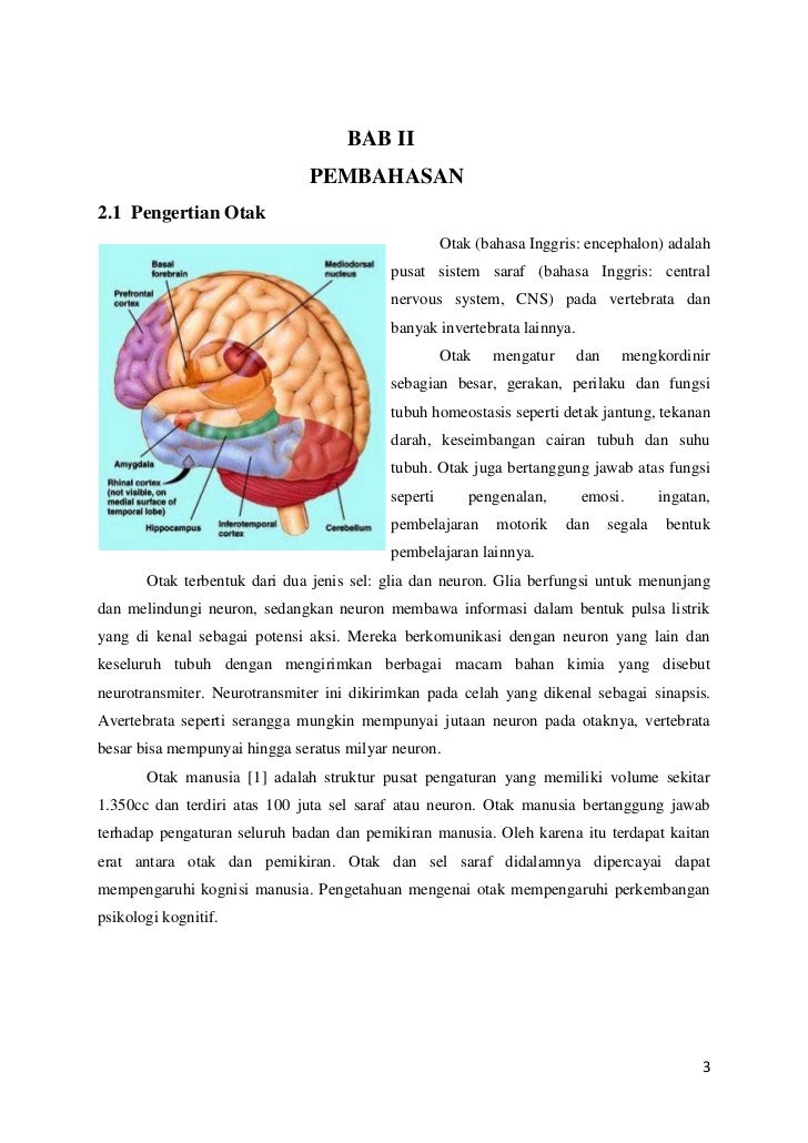 Makalah Tentang Biologi Sel Dan Komposisi Tubuh Gambar Untuk Pembuatan Struktur Makalah