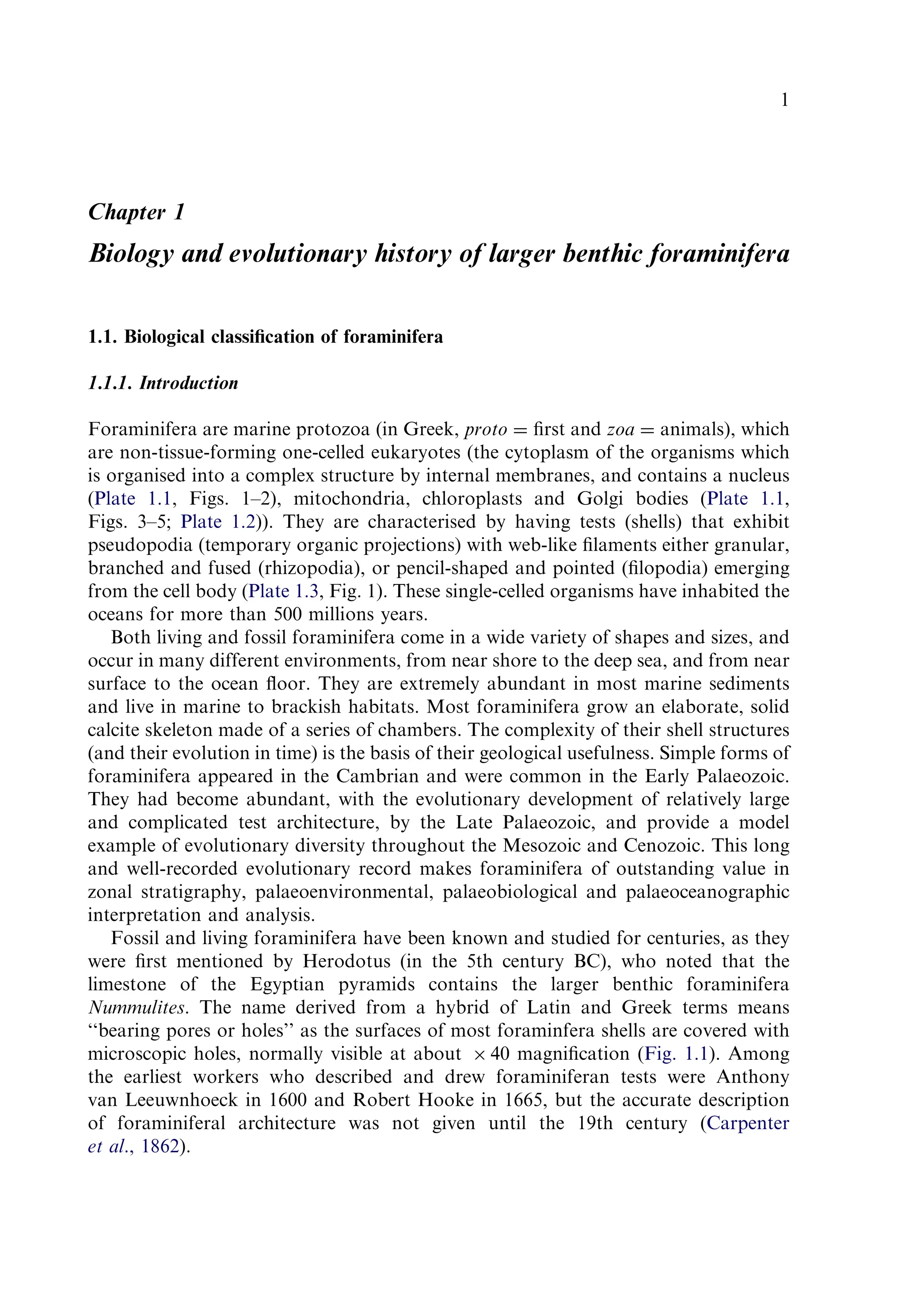 Evolution And Geological Significance Of Larger Benthic Foraminifera Mk ...