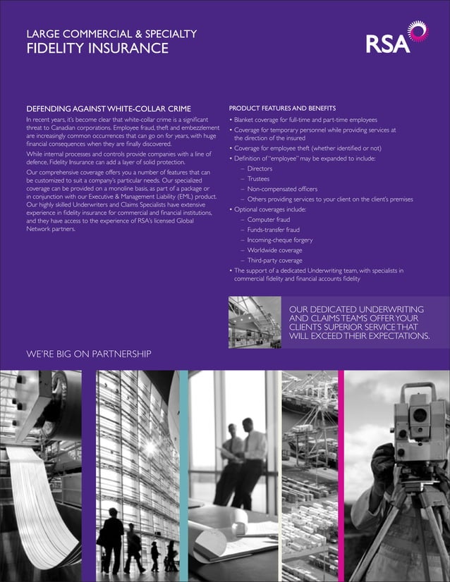 RSA Fidelity Insurance | PDF