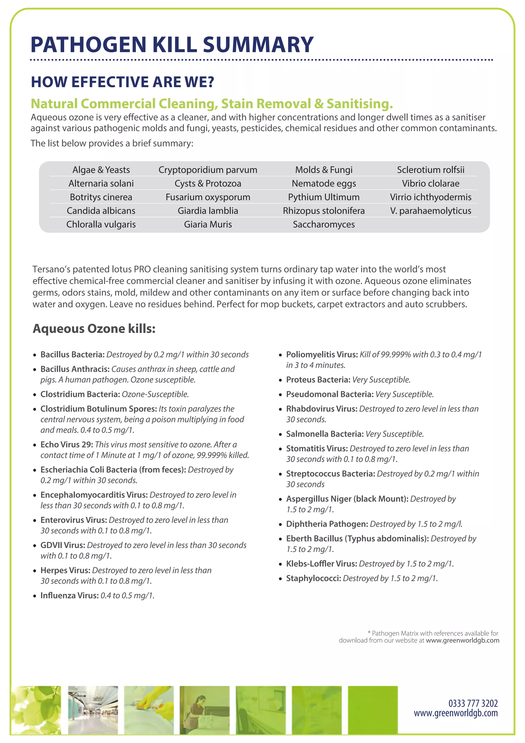 lotus Pro Information Pack | PDF