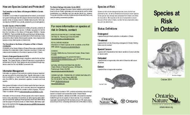 Species at Risk Ontario