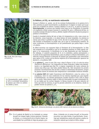 El proceso de nutrición de las plantas | PDF