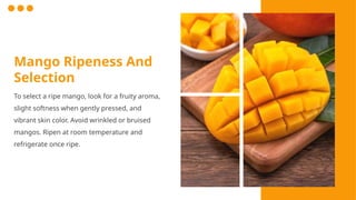 84509-Mango PowerPoint Template Slide.pptx