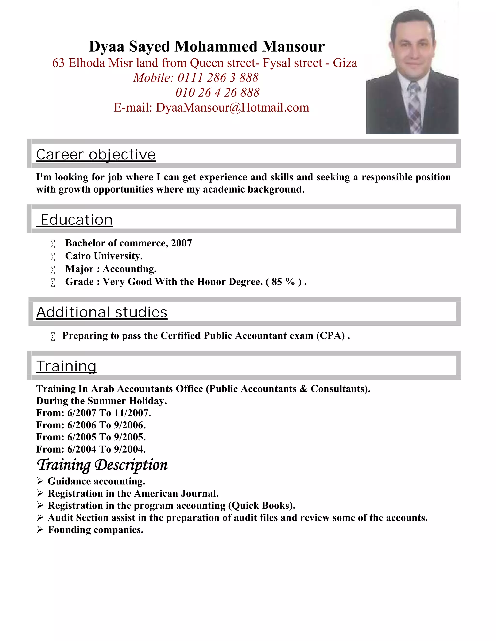 Dyaa Mansour CV | PDF