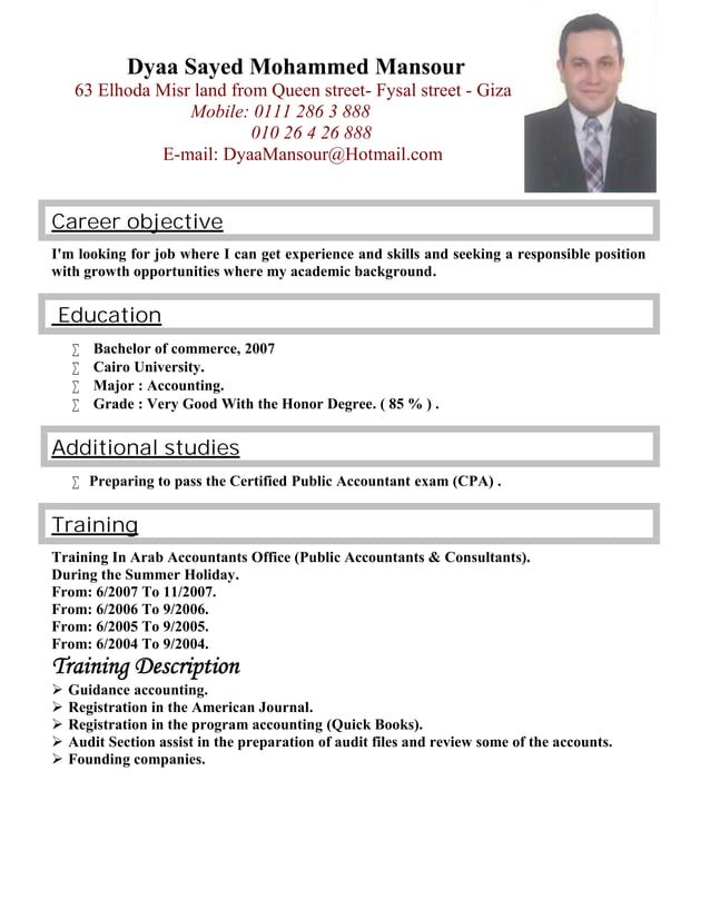 Dyaa Mansour CV | PDF