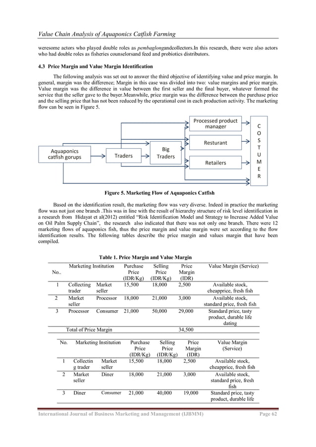 Value Chain Analysis of Aquaponics Catfish Farming | PDF