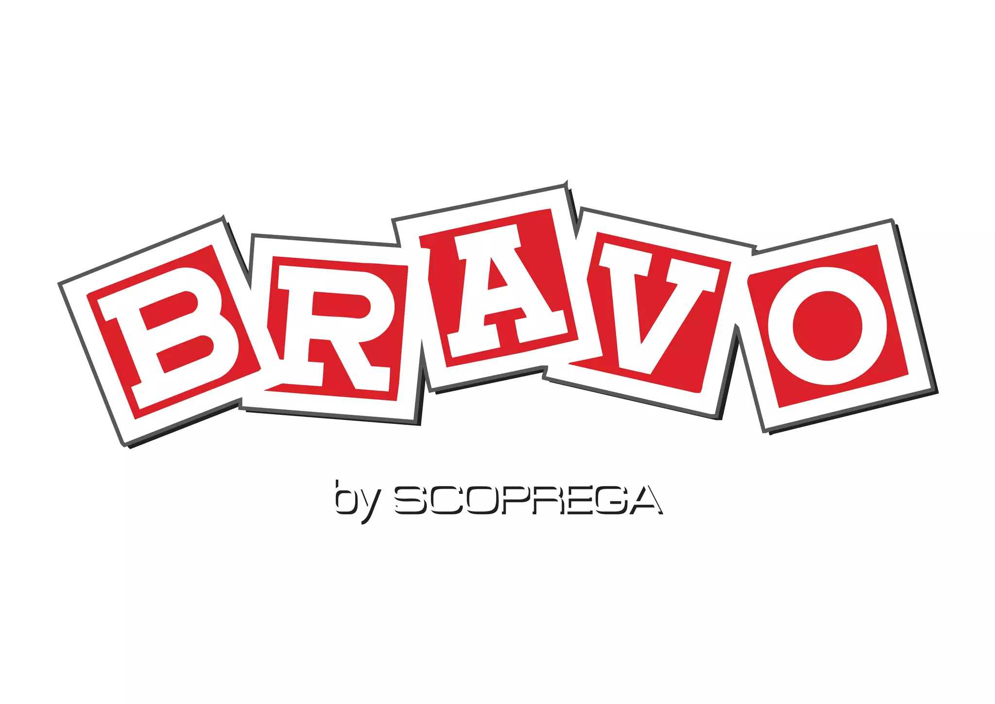 NEW Logo BRAVO | PDF