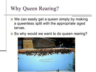Concepts of Queen Rearing for the beekeepers | PPTX