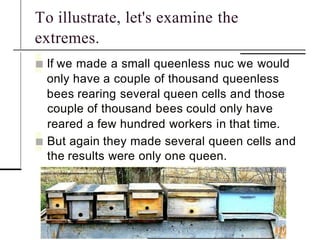 Concepts of Queen Rearing for the beekeepers | PPTX