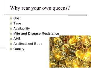 Concepts of Queen Rearing for the beekeepers | PPTX