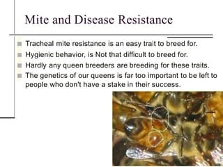 Concepts of Queen Rearing for the beekeepers | PPTX