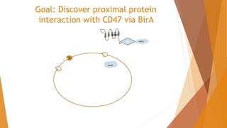 Colloquia presentation | PPT