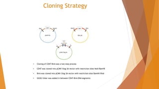 Colloquia presentation | PPT