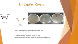 Colloquia presentation | PPT