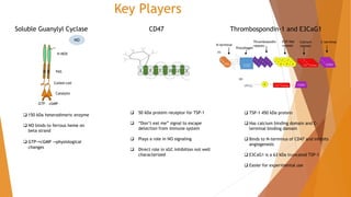 Colloquia presentation | PPT