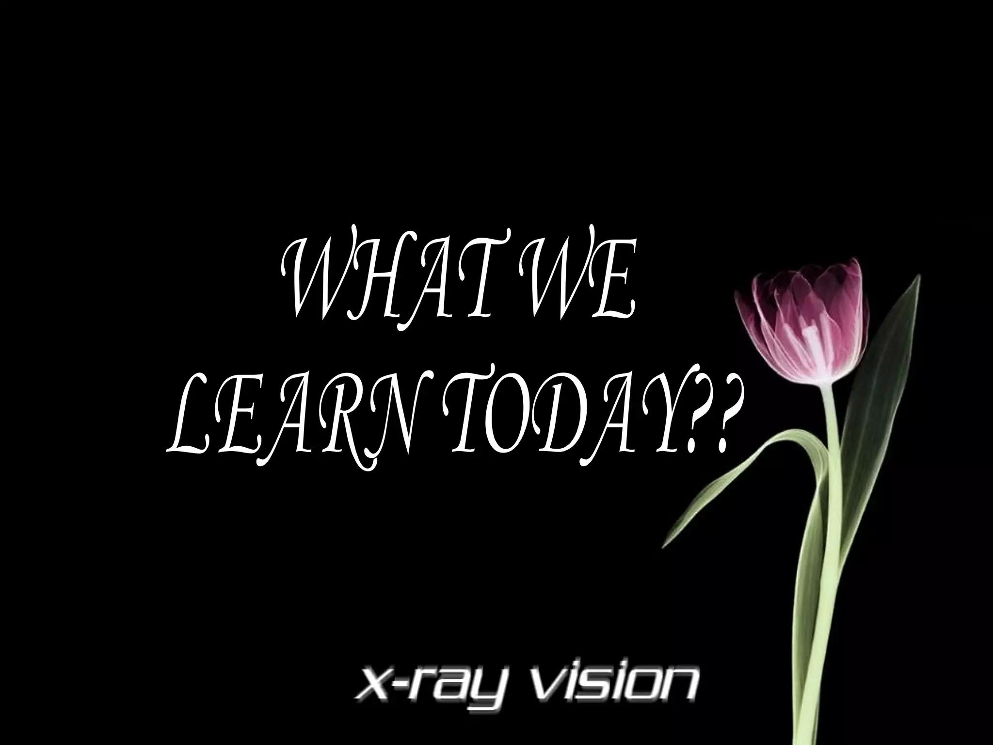 8494483 pascals-principle | PPT