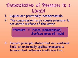8494483 pascals-principle | PPT