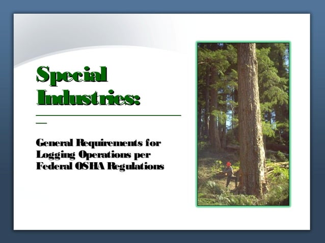 Non-Auto DKS-JJK Logging Operations PPT | PPT
