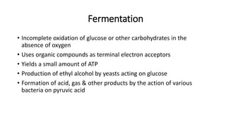 Bacteria Metabolism By Tanzir | PPT