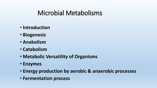 Bacteria Metabolism By Tanzir | PPT