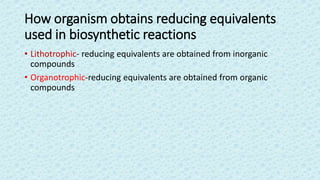 Bacteria Metabolism By Tanzir | PPT